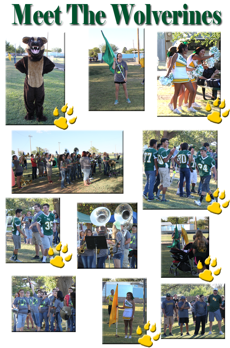 Springlake-Earth High School | Meet The Wolverines